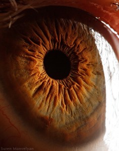 'Your Beautiful Eyes' - Amazing Close-Up Photos Of Human Eyes By Suren ...