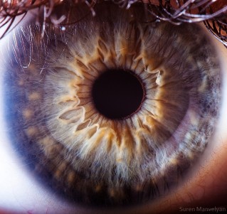 'Your Beautiful Eyes' - Amazing Close-Up Photos Of Human Eyes By Suren ...