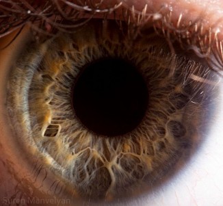 'Your Beautiful Eyes' - Amazing Close-Up Photos Of Human Eyes By Suren ...