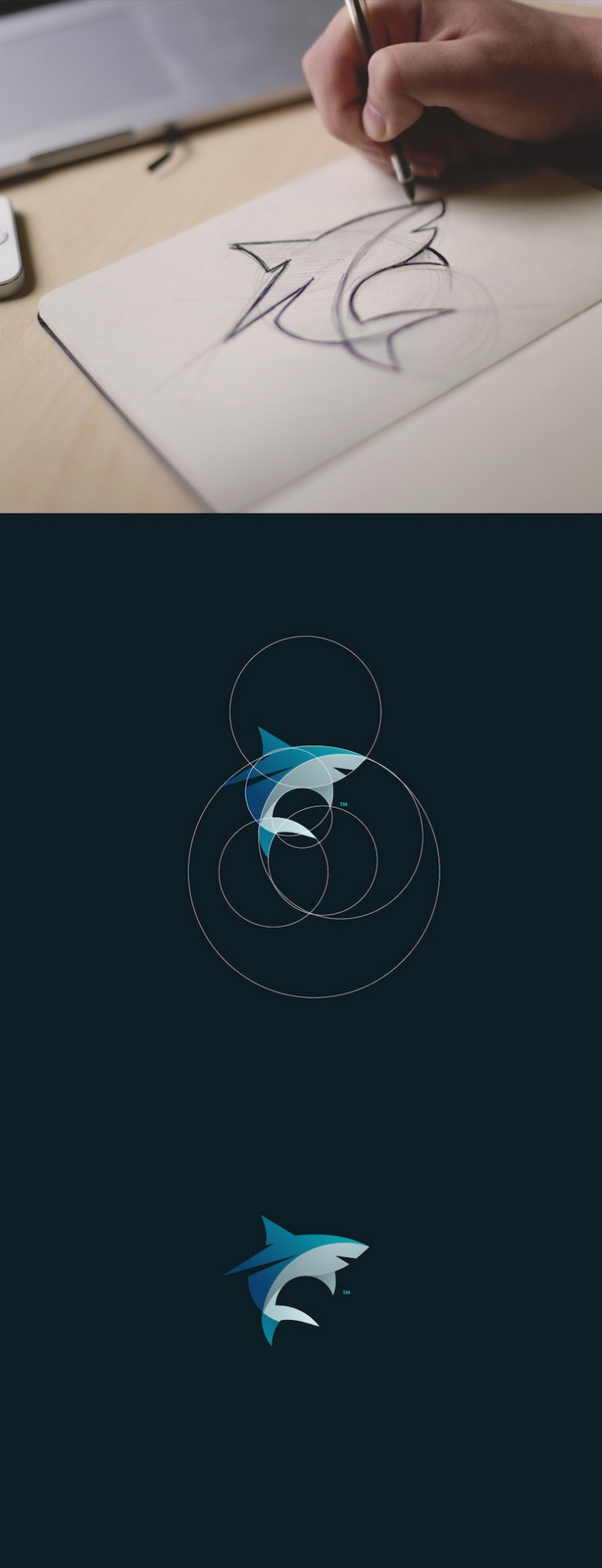 Beautiful, Vibrant Animal Logos Based On The Golden Ratio