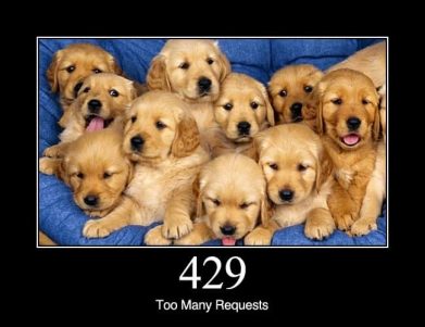 Dogs Explain What Different HTTP Status Codes Mean