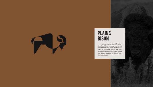 Designers Create Beautiful Animal Logos To Raise Awareness For ...