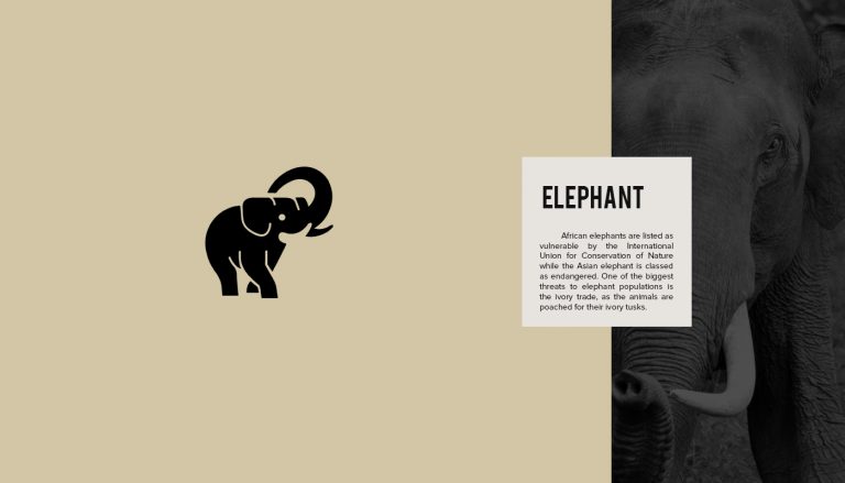 Designers Create Beautiful Animal Logos To Raise Awareness For ...