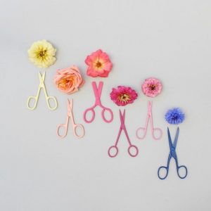 Beautiful Images Of Everyday Objects Organized By Color
