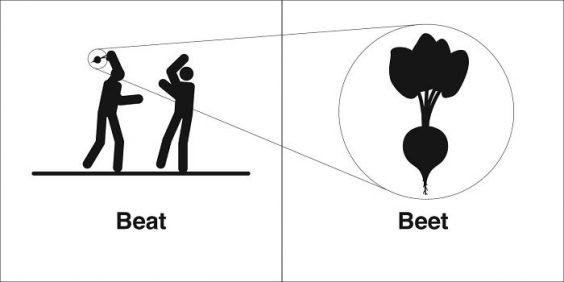 Clever Illustrations Of Words That Sound The Same But Have Different ...