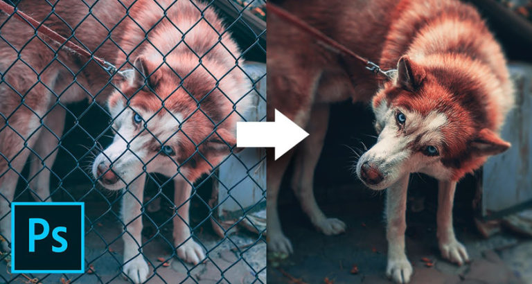 Learn In 15 Seconds How To Remove Any Object From Your Image In Photoshop