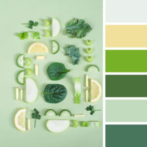 Why Color Theory Is Critical In Graphic Design