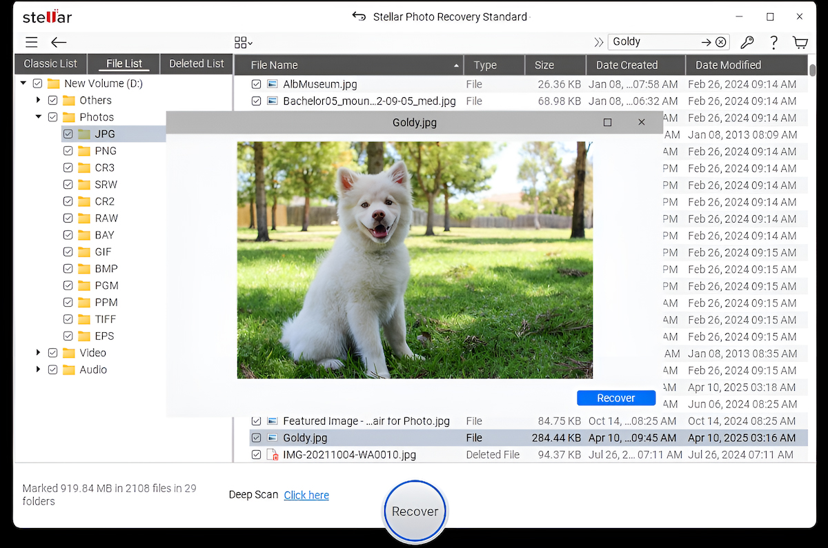 Recover Photos Instantly On Windows [With or Without Backup]